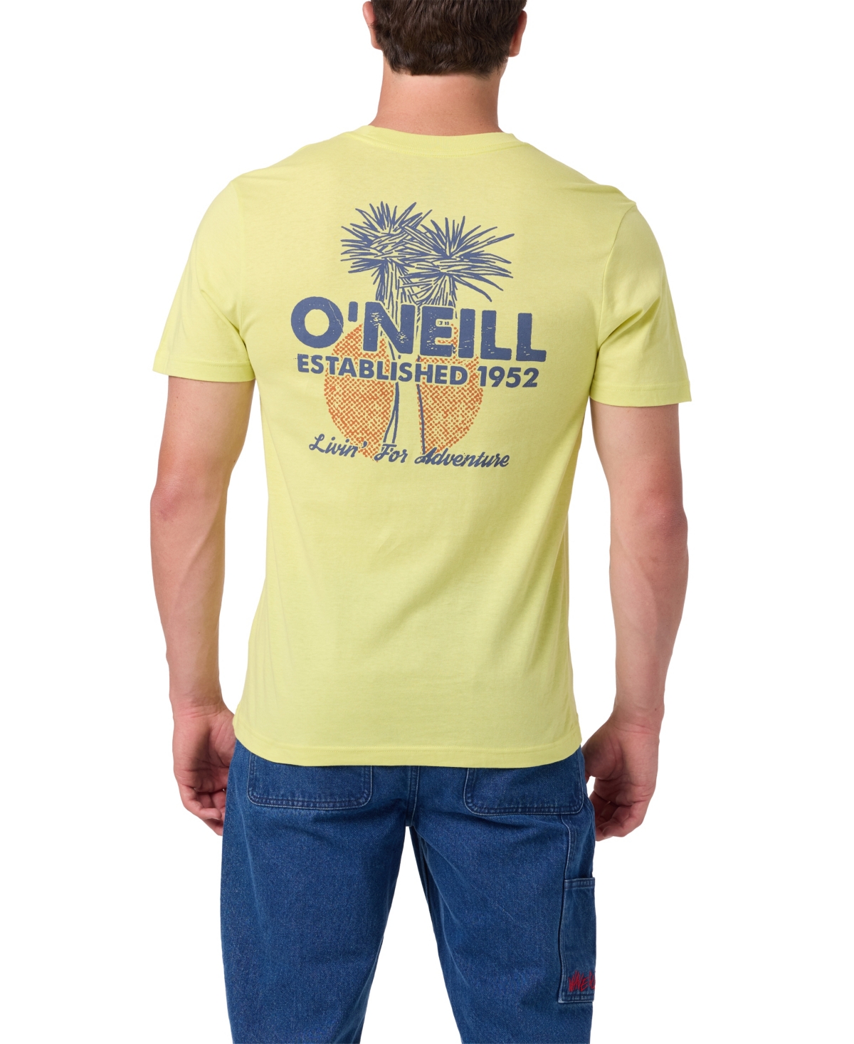 Click here for ONeill Mens Livin For Adventure Palm Tree Graphic... prices