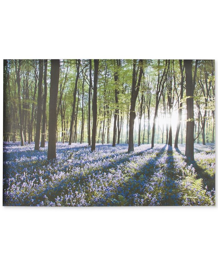 Graham & Brown Bluebell Landscape Canvas Print - Macy's