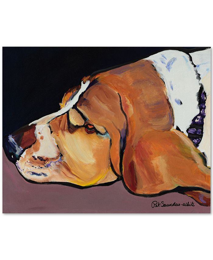 Trademark Global Pat Saunders-White Farley 18" x 24" Canvas Art Print ...