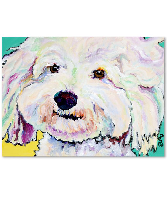 Trademark Global Pat Saunders-White 'Buttons' 18" x 24" Canvas Wall Art ...