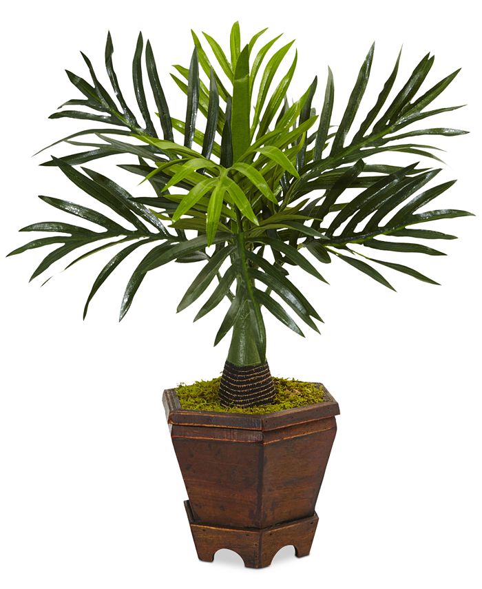 Nearly Natural 3-Pc. 16.5" Assorted Mini Palm Artificial Tree Set in ...