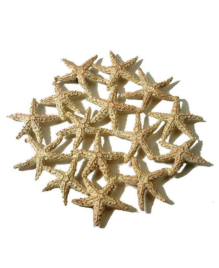 Michael Michaud Starfish Trivet - Macy's