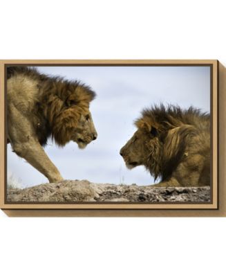 Amanti Art Face to Face by Tamir Bibi Canvas Framed Art - Macy's