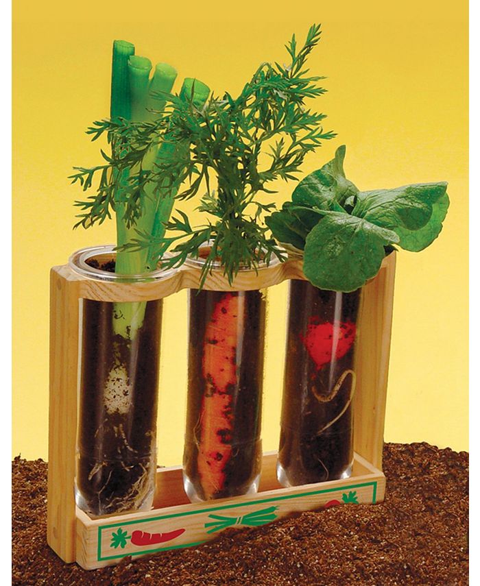 Toysmith Root Viewer Science Kit Stem - Macy's