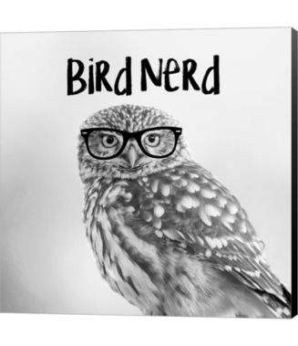 Bird Nerd - Owl by Color Me Happy Canvas Art - Macy's