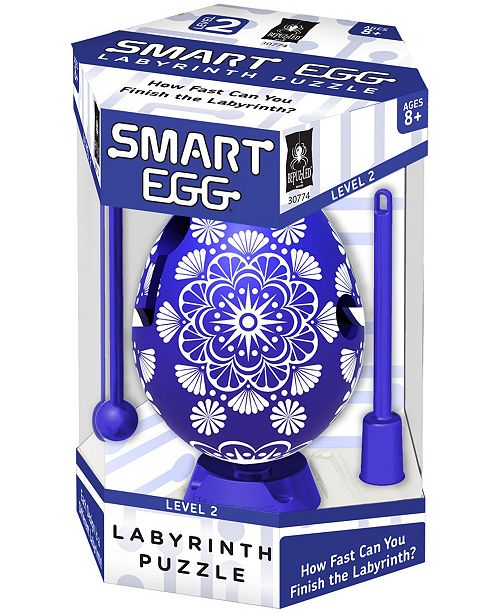 Areyougame Smart Egg Labyrinth Puzzle - Color Collection- Blue ...