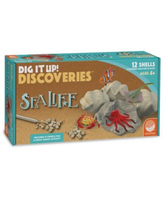 Dig It Up! - Discoveries- Sea Life - Macy's