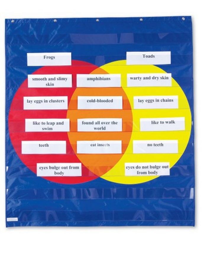 Learning Resources Graphic Organizer Pocket Chart - Macy's