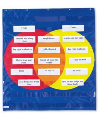 Learning Resources Graphic Organizer Pocket Chart - Macy's