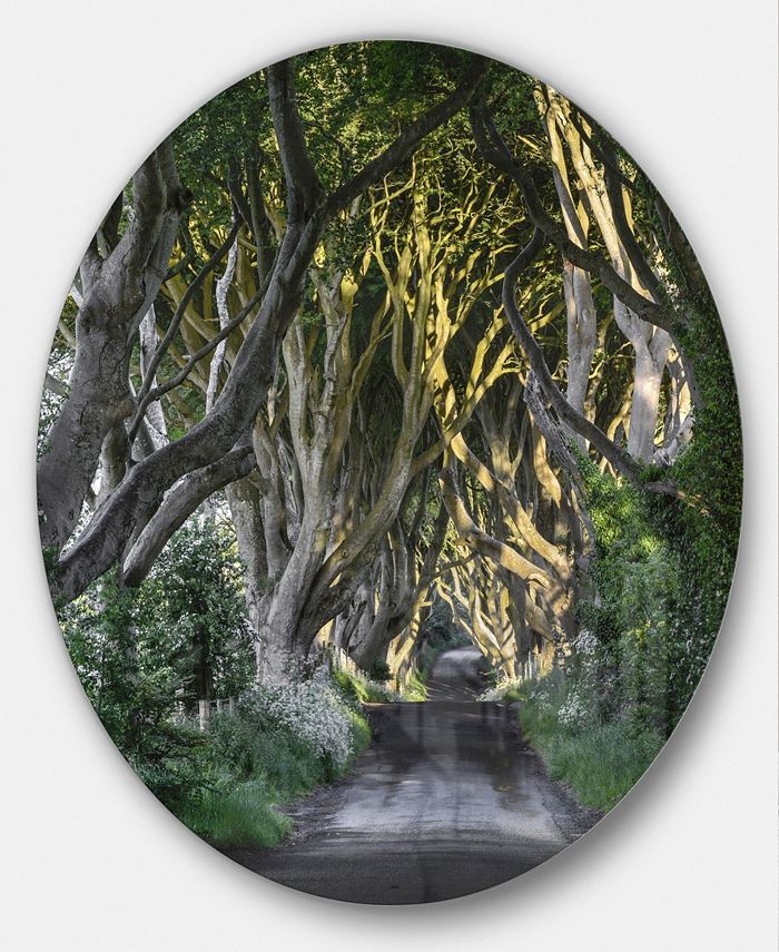 Design Art Designart 'The Dark Hedges Ireland Landscape' Disc ...