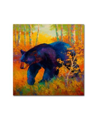 Marion Rose 'In To Spring Black Bear' Canvas Art - 14" x 14" x 2" - Macy's