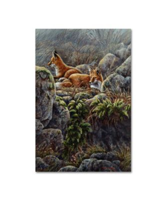 Wanda Mumm 'Sunny Ledge' Canvas Art - 32" x 22" x 2" - Macy's