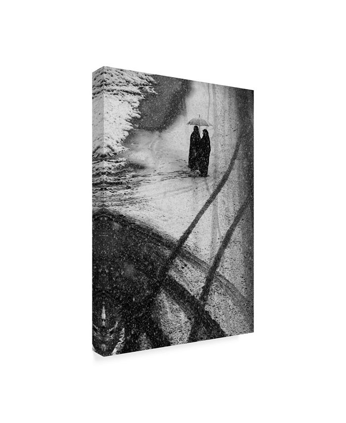 Trademark Innovations Nima Karimi 'A Couple' Canvas Art - 22" x 2" x 32" - Macy's