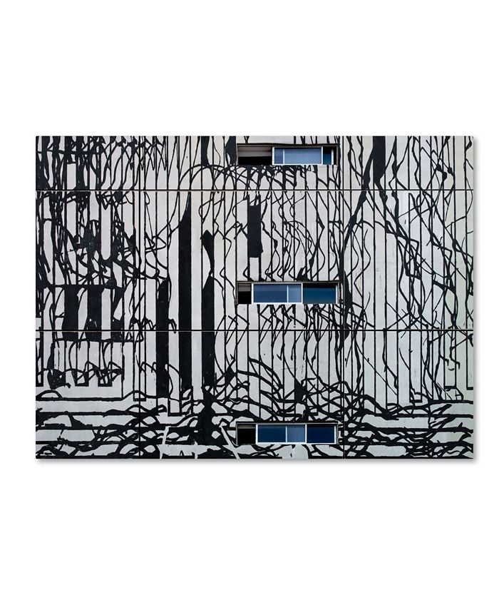Trademark Global Harry Verschelden 'Structures Of Chaos' Canvas Art ...