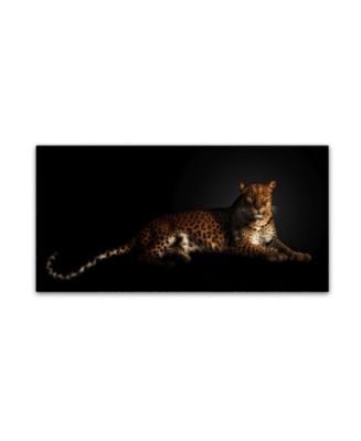 Pedro Jarque 'Harmony' Canvas Art - 24" x 12" x 2" - Macy's