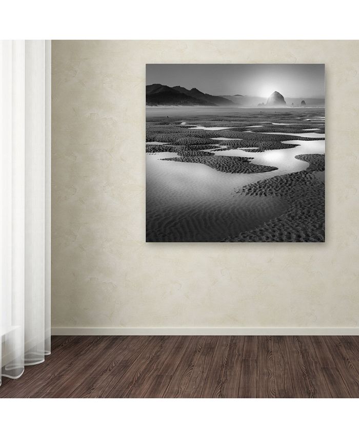 Trademark Global Moises Levy 'Path' Canvas Art - 14" x 14" x 2" - Macy's