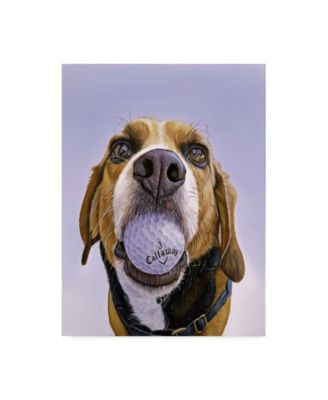 James Ruby 'Callaway' Canvas Art - 14" x 19" - Macy's