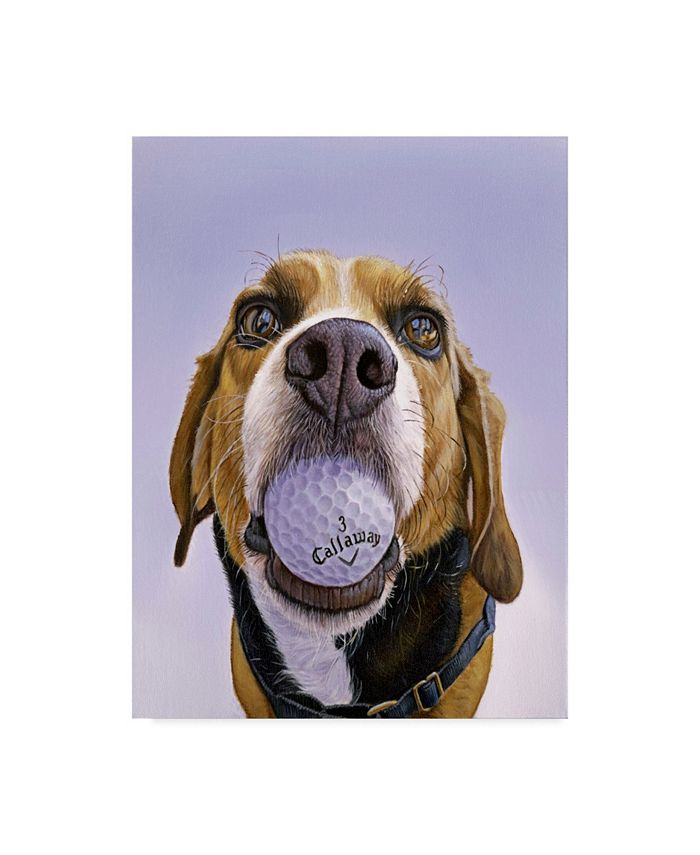 Trademark Global James Ruby 'Callaway' Canvas Art - 14" x 19" - Macy's