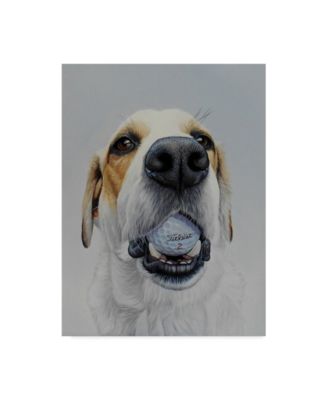 James Ruby 'Titleist 2' Canvas Art - 14" x 19" - Macy's