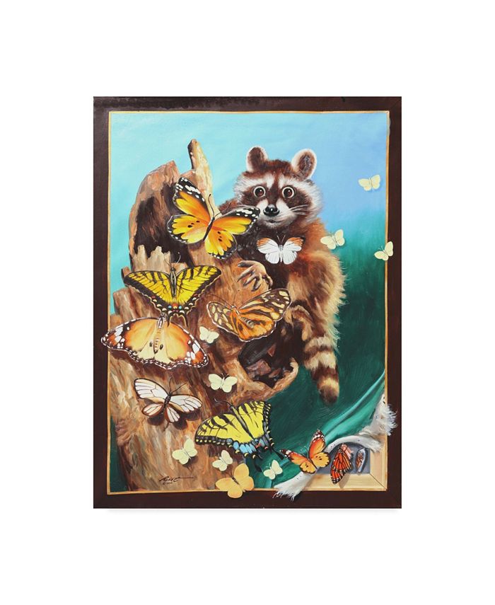 Trademark Global D Rusty Rust 'Raccoon Under Color' Canvas Art - 24" x ...