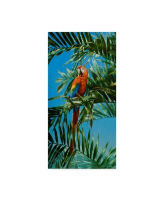 Michael Jackson 'Scarlet Macaw 1' Canvas Art - 10" x 19" - Macy's