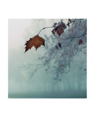 Nicholas Bell Photography 'November Fog' Canvas Art - 18" x 18" - Macy's