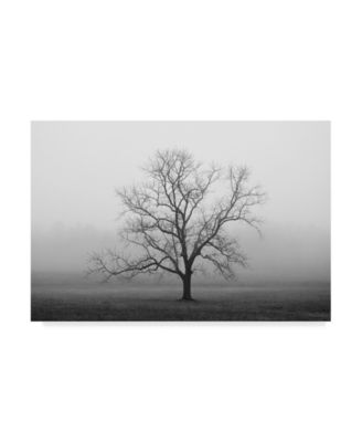 Nicholas Bell Photography 'Velvet Sunrise' Canvas Art - 24" x 16" - Macy's