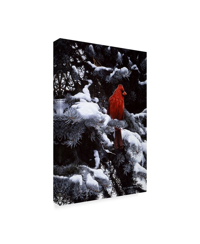 Trademark Global Ron Parker 'Cardinal In Blue Spruce' Canvas Art - 12 ...