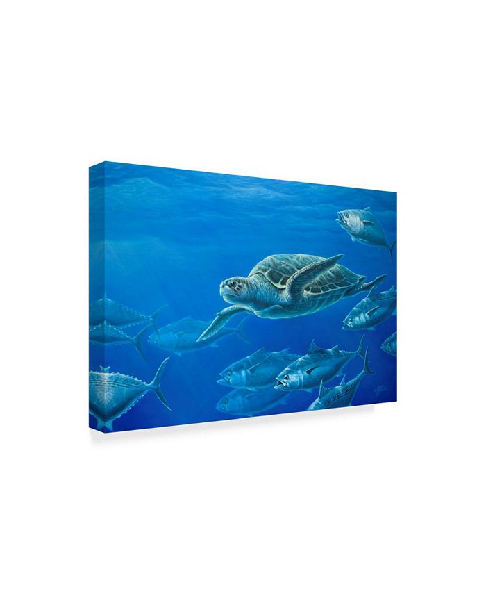 Trademark Global Wilhelm Goebel 'Sea Turtle' Canvas Art - 12" x 19 ...