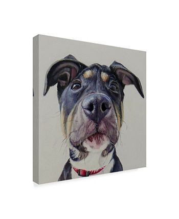 Trademark Global James Ruby 'Hank' Canvas Art - 35" x 35" - Macy's