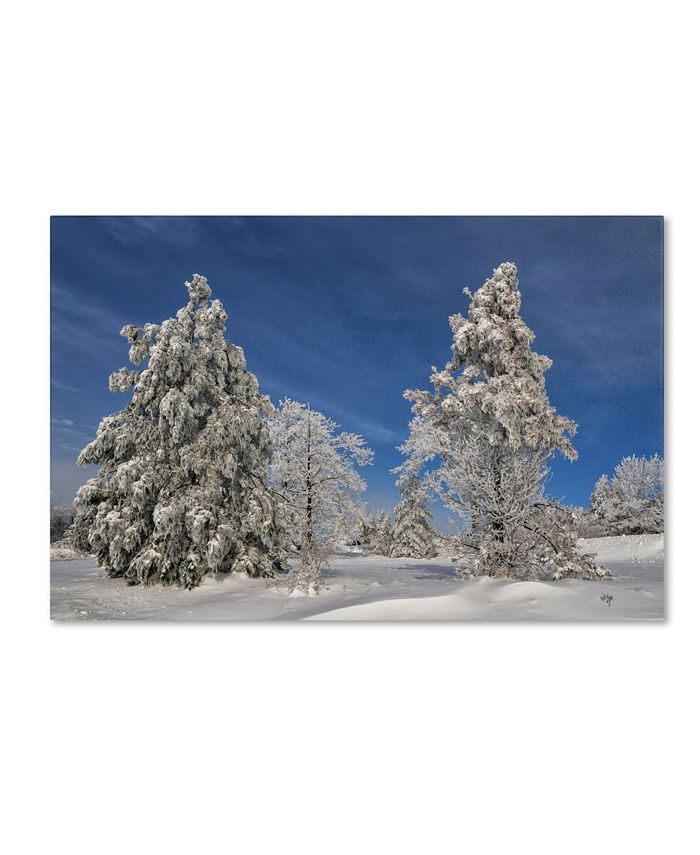 Trademark Global Lois Bryan 'Winter Blues' Canvas Art - 12" x 19" - Macy's