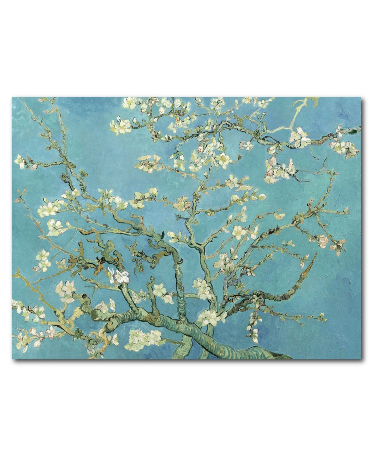 Click here for Courtside Market Van Gogh Cherry Blossoms 30 x 40... prices