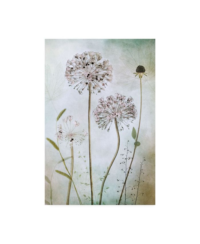 Trademark Global Mandy Disher Allium Canvas Art - 15" x 20" - Macy's
