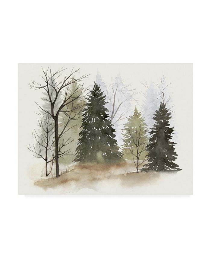 Trademark Global Grace Popp In the Mist II Canvas Art - 20" x 25" - Macy's