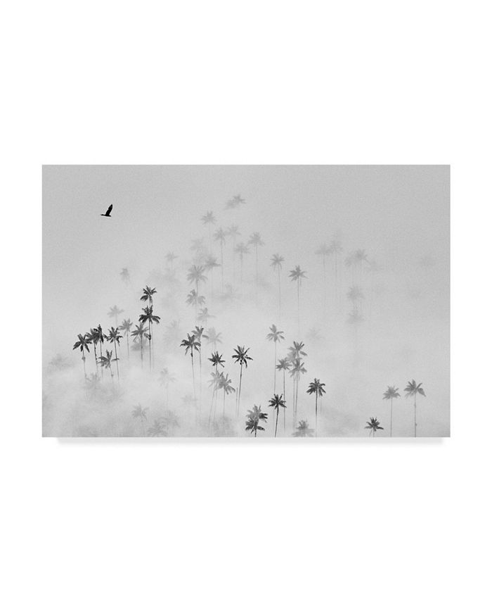 Trademark Global Alexey Malashin Cocora Valley Canvas Art - 15" x 20" - Macy's