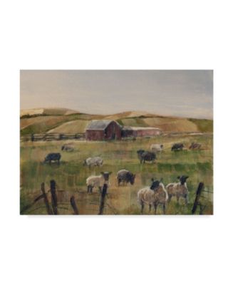 Ethan Harper Grazing Sheep II Canvas Art - 20" x 25" - Macy's