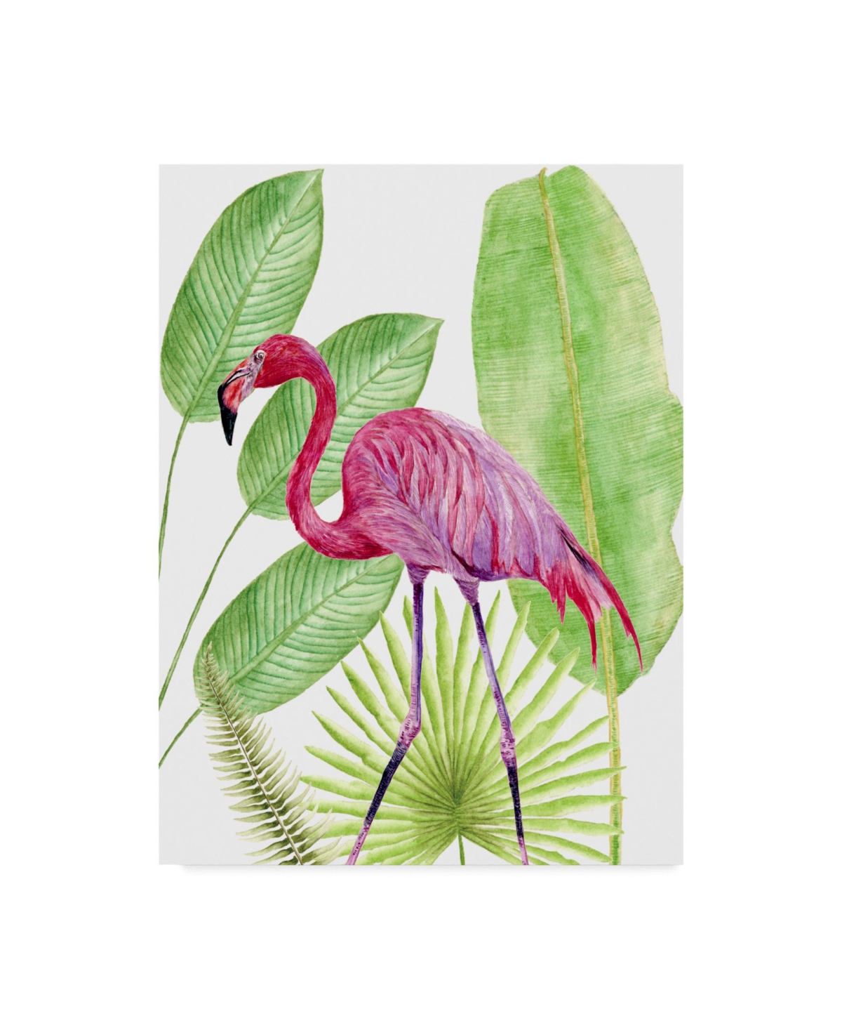 Click here for Melissa Wang Tropical Flamingo I Canvas Art - 15 x... prices