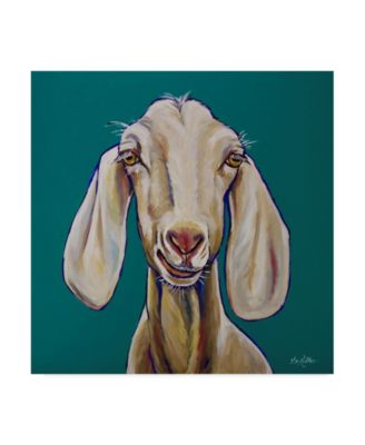 Hippie Hound Studios Goat on Teal Canvas Art - 20" x 25" - Macy's
