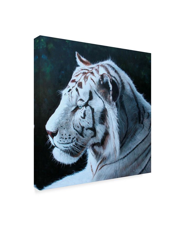 Trademark Global Pip Mcgarry Portrait of a Prince Canvas Art - 15" x 20 ...