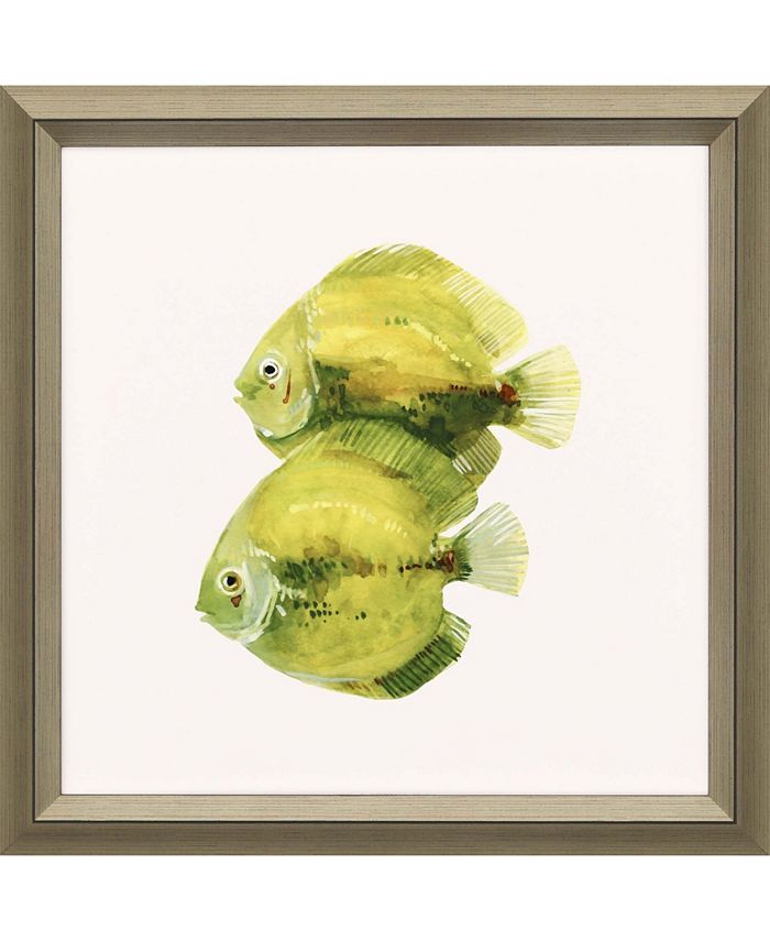 Paragon Picture Gallery Paragon Discus Fish II Framed Wall Art, 30" x ...
