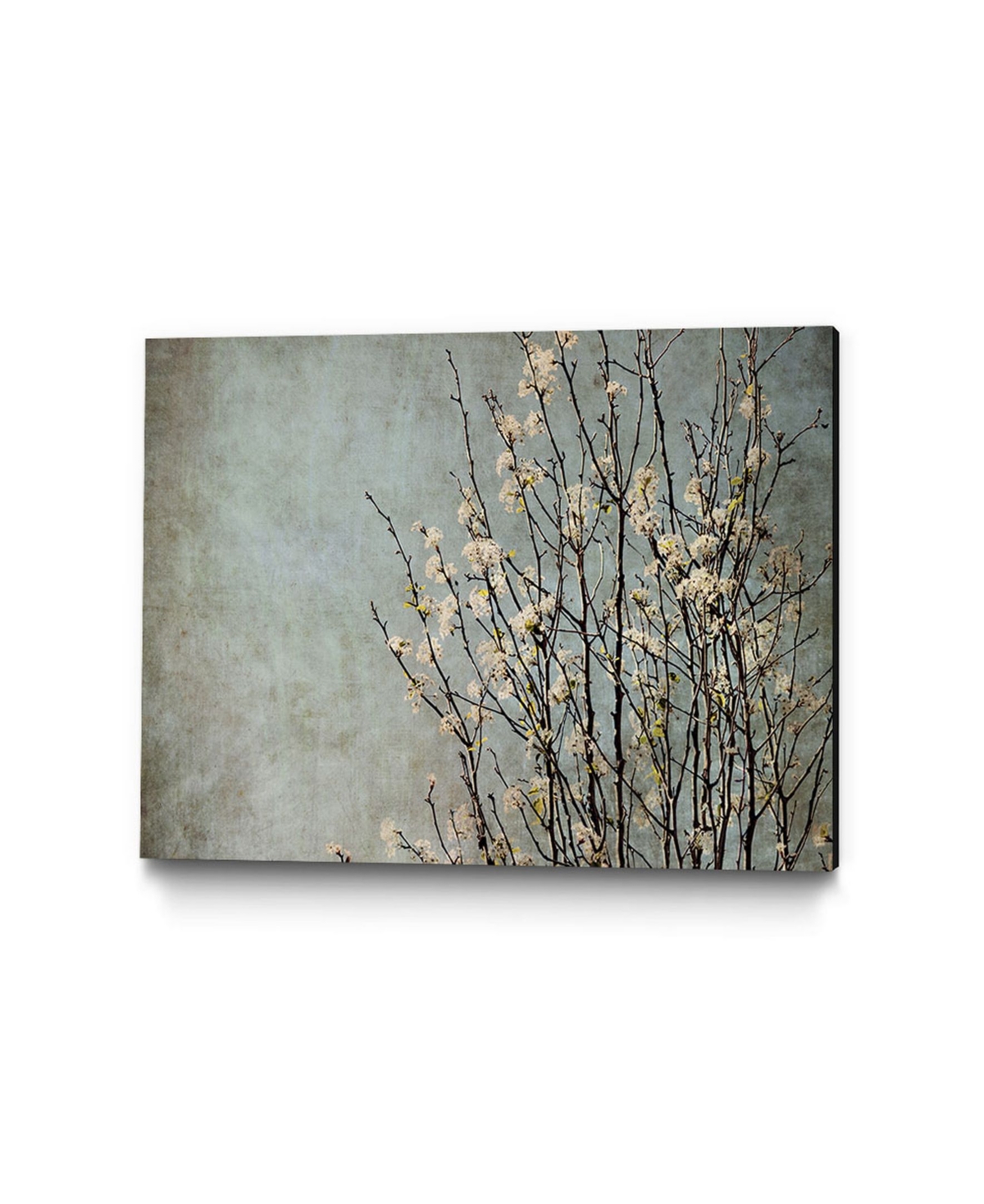 Click here for Giant Art 20 x 16 Tree I Museum Mounted Canvas Pri... prices