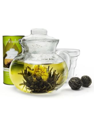 Primula Blossom Borosilicate Glass Teapot Infuser and 12 Blooming ...
