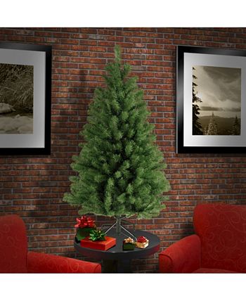 National Tree Company National Tree 4 .5' North Valley Spruce Tree - Macy's