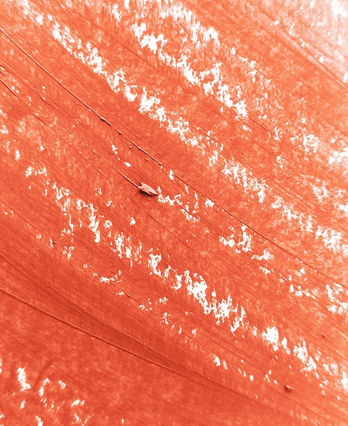 Lord & Berry Shiny Crayon Lipstick - Macy's