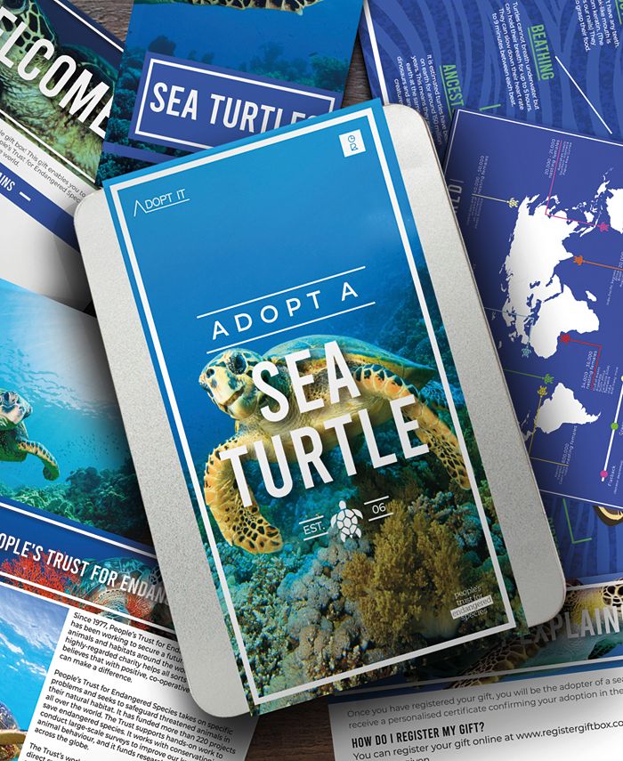 Gift Republic CLOSEOUT! Adopt a Sea Turtle - Macy's
