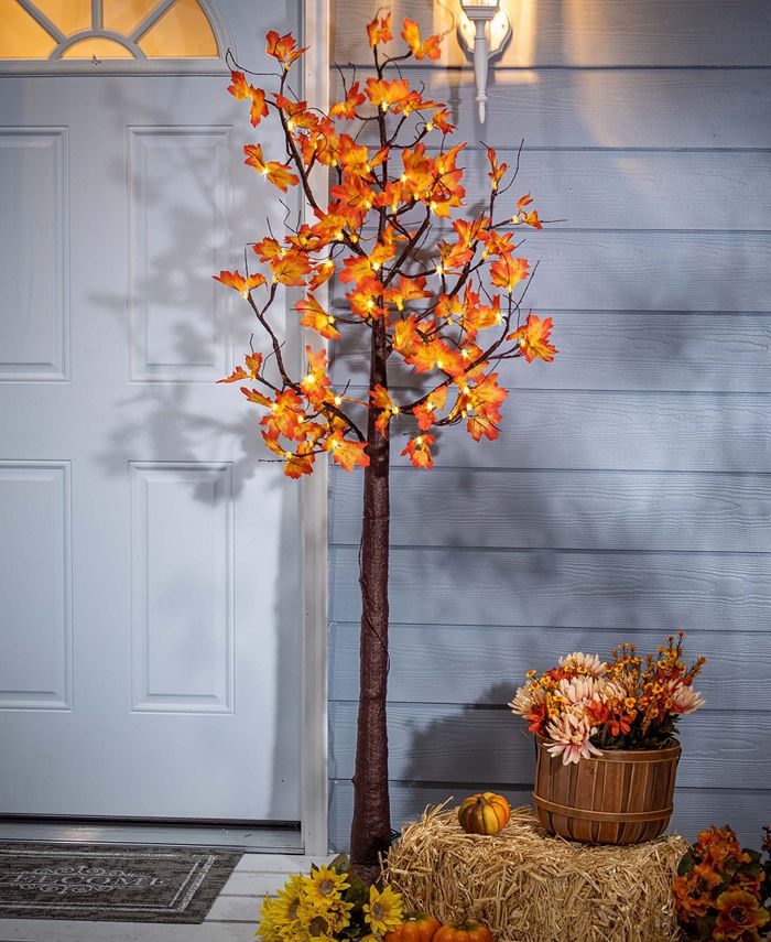 Gerson International 6 Feet Electric Lighted Maple Leaf Tree with Micro ...