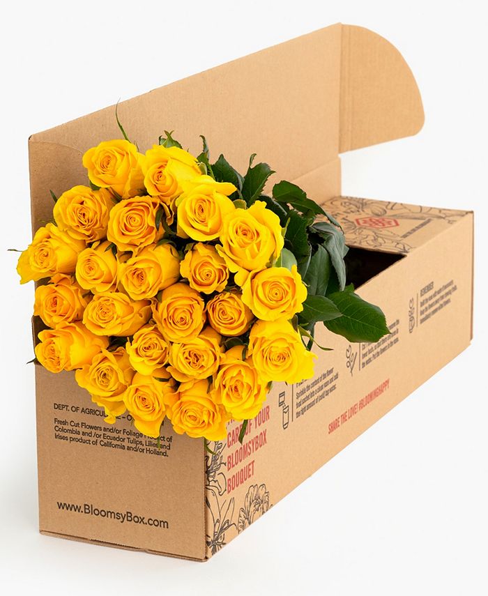 BloomsyBox Two Dozen Yellow Roses Fresh Flower Bouquet - Macy's