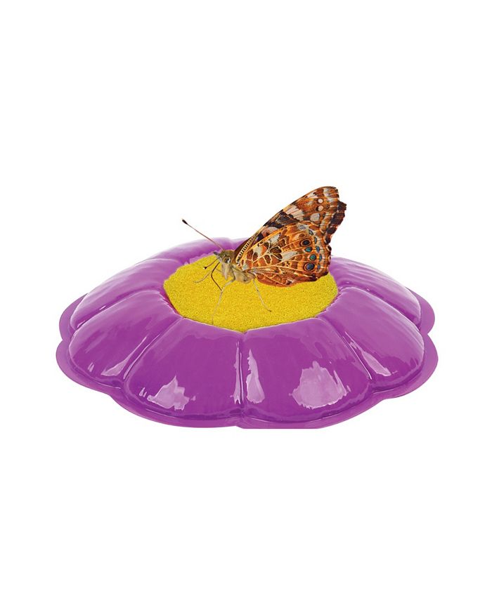 Insect Lore STEM Educational Butterfly Life Cycle Growing Kit - Macy's