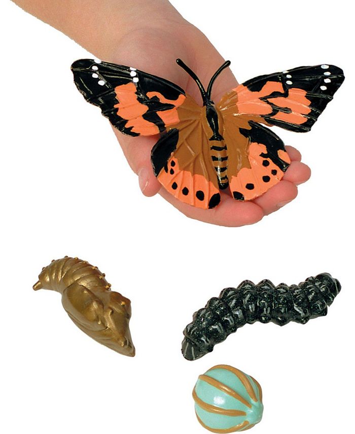 Insect Lore STEM Educational Butterfly Life Cycle Toy With Figurines ...
