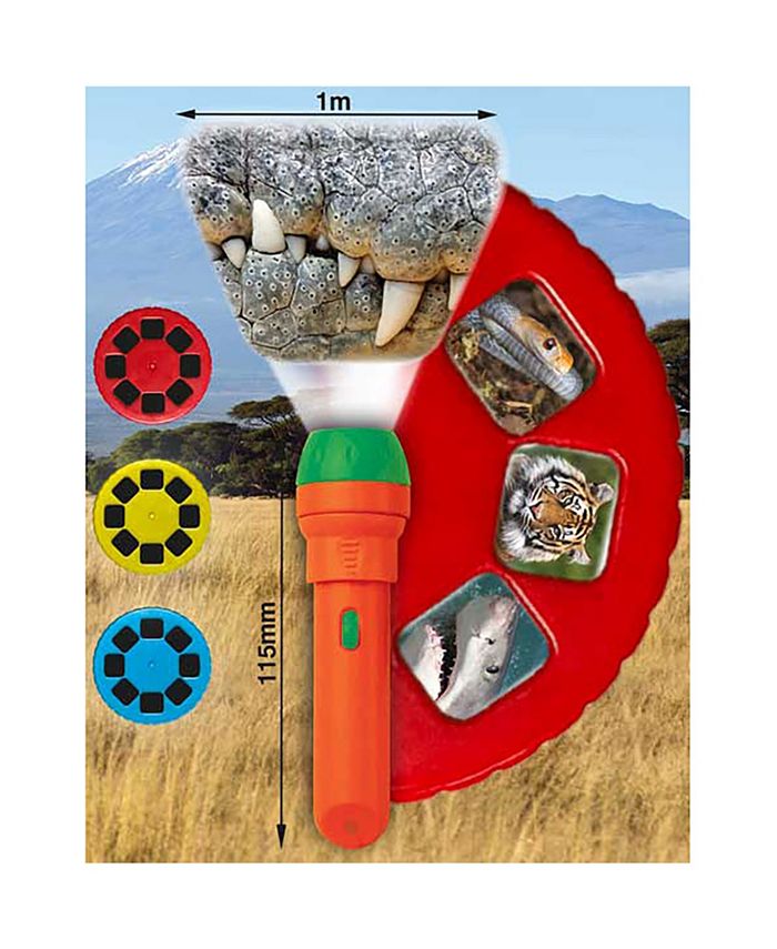 Wildfire Brainstorm Toys Most Deadly Flashlight and Projector, Set of ...